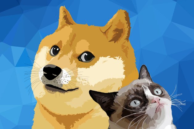 Кіт Степан та інші тварини, які заробляють в інтернеті: від Grumpy Cat ...